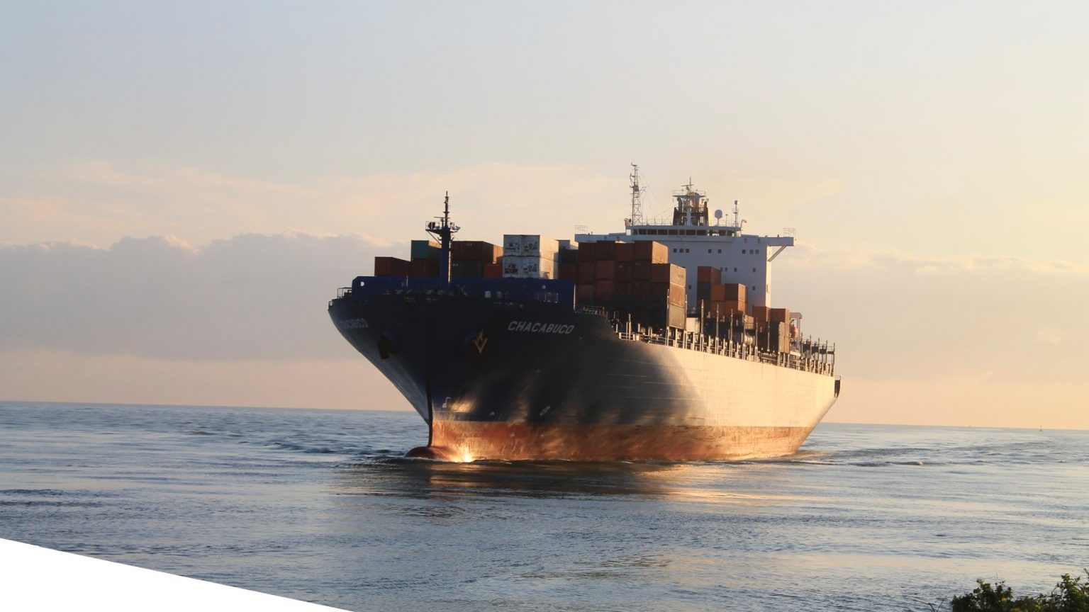 Pay De Well Container Shipping INC with PayCargo