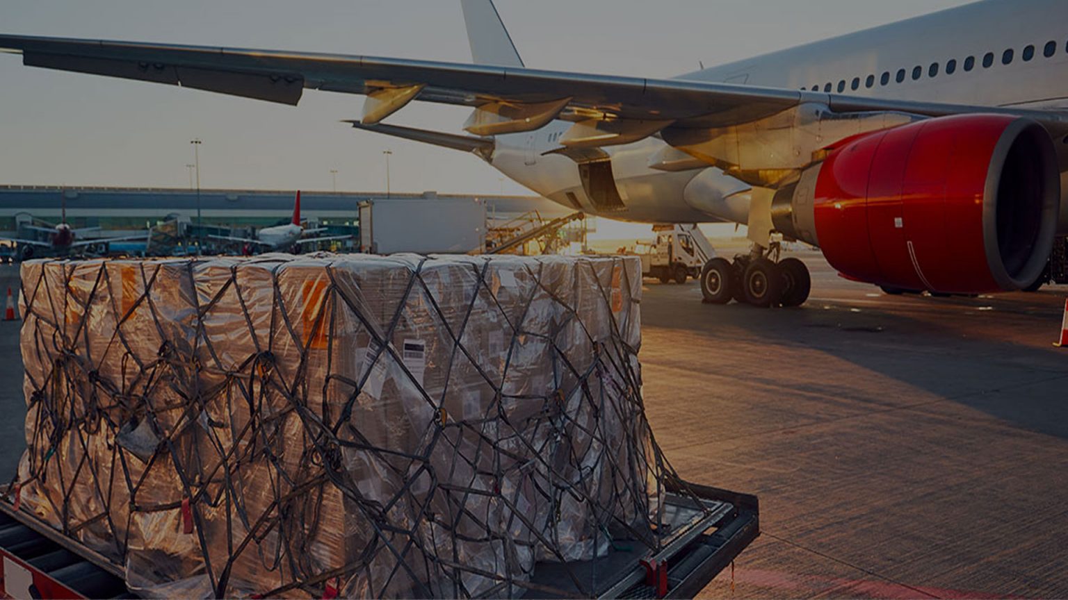 Pay Shipco Transport Instantly with PayCargo